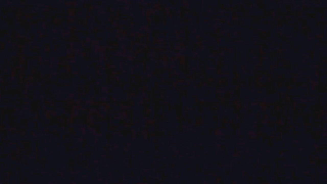 DISCOVER ONE SHOT KIT – SamplesWave